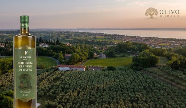 Frantoio Veronesi stellt sich vor! « Olivo Dorato